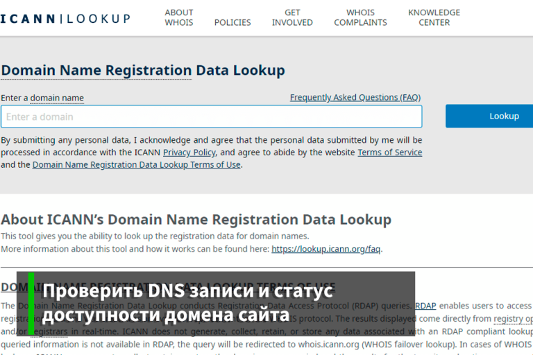 Check Site Domain: How to Verify a Website's Domain