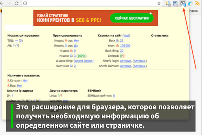 Check Site Domain: How to Verify a Website's Domain